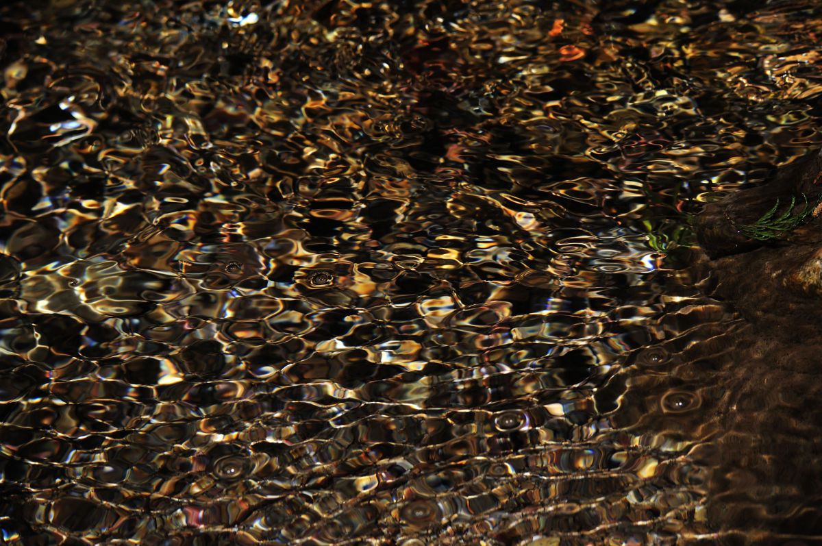 Stained water | GANREF