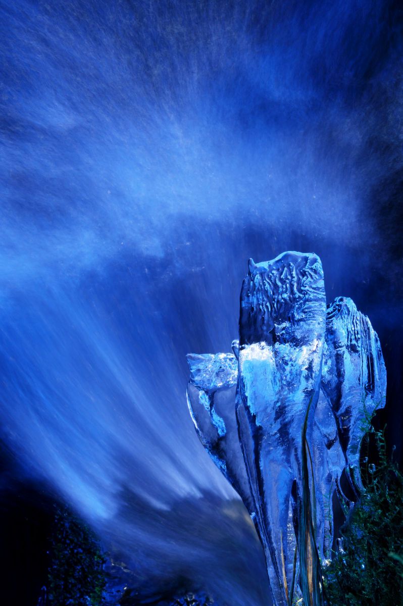 object of january | GANREF