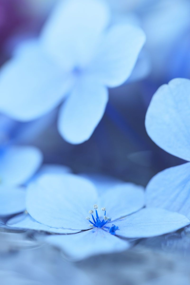 Stand quietly | GANREF