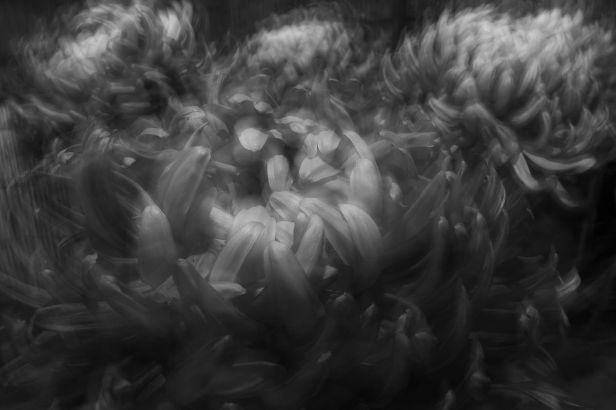 ざわ…ざわ… | GANREF