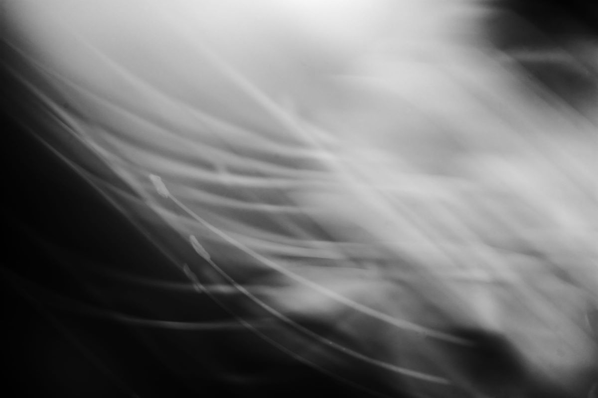 The light that came in | GANREF