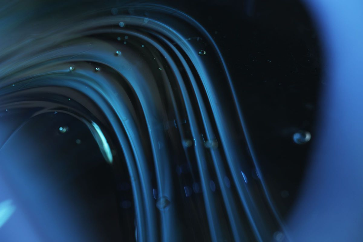 One and only | GANREF