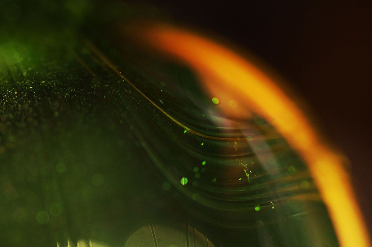 breaking dawn | GANREF