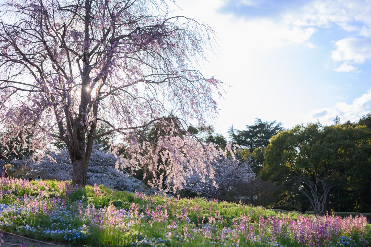 Spring Has Come | GANREF