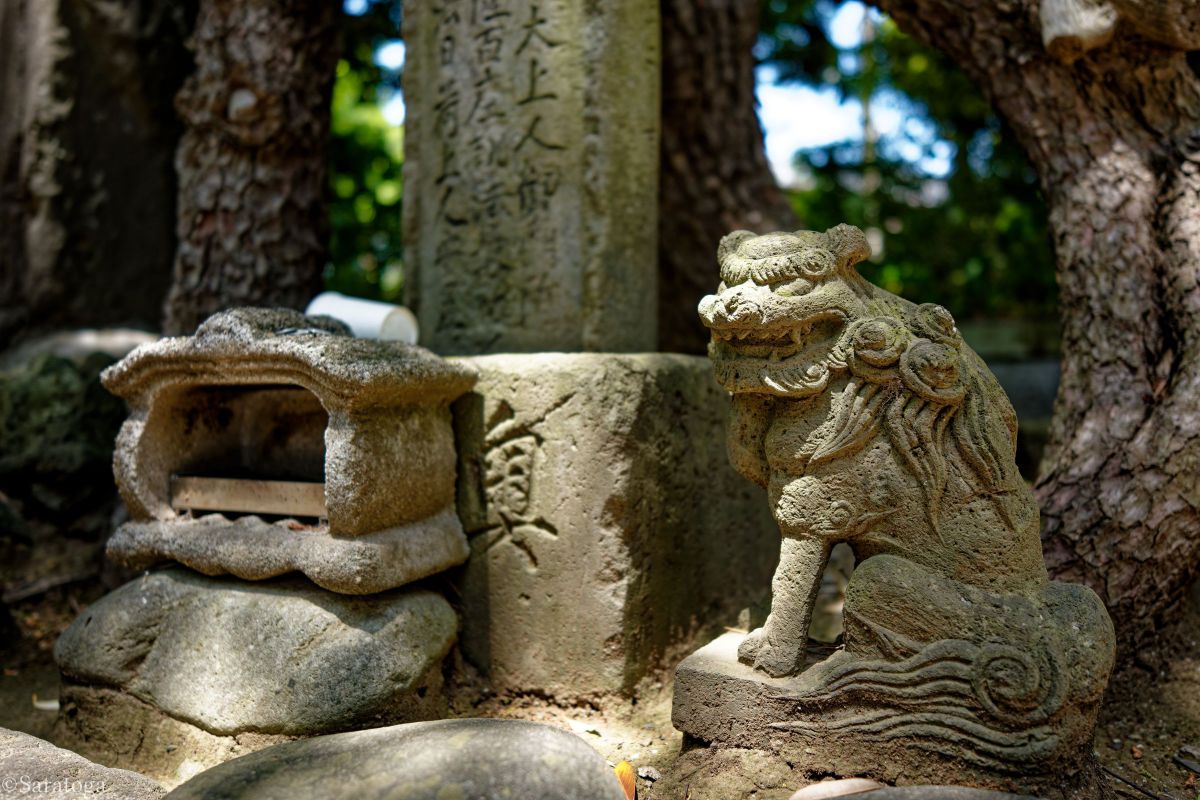 ちょこんと | GANREF