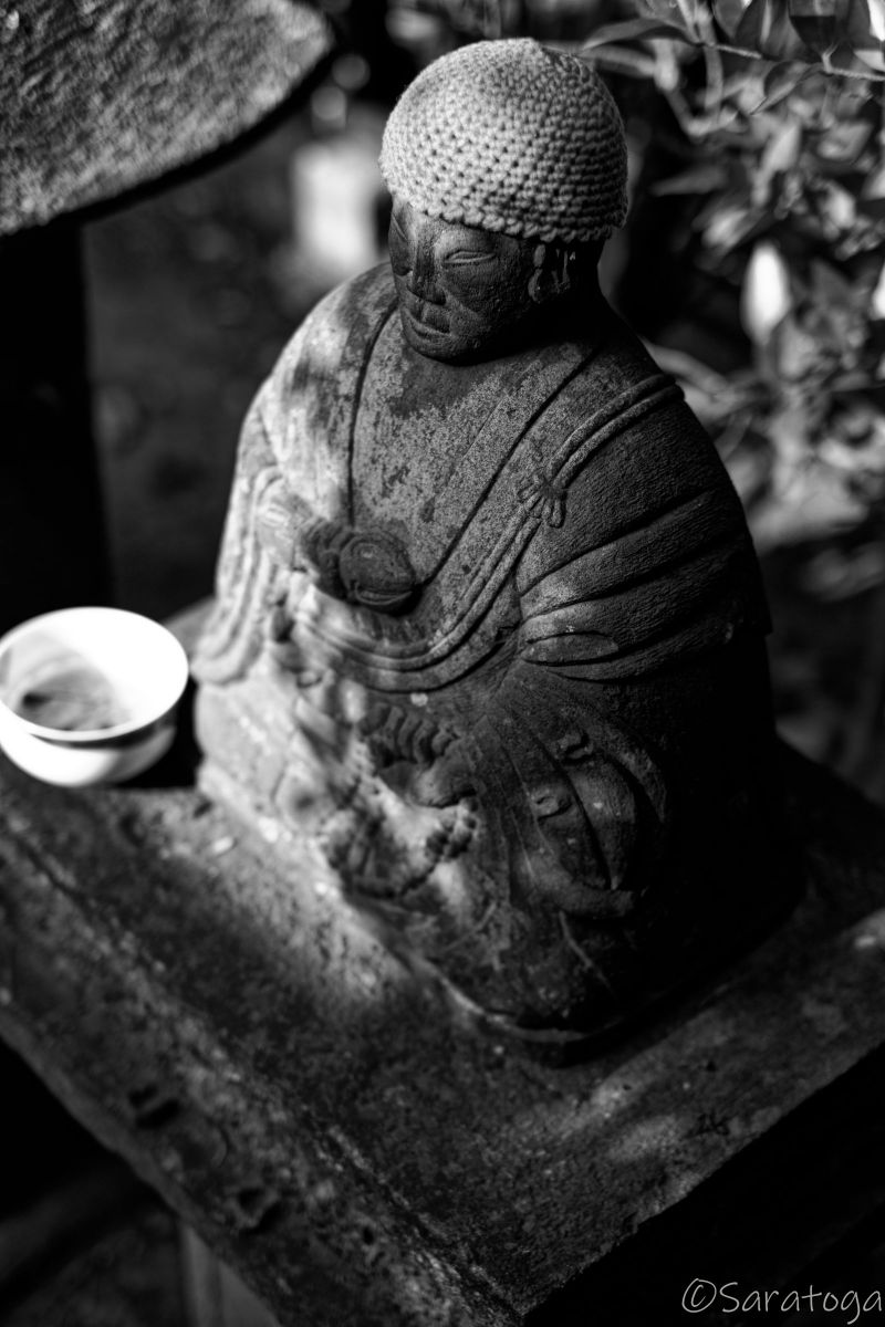 木漏れ日 | GANREF