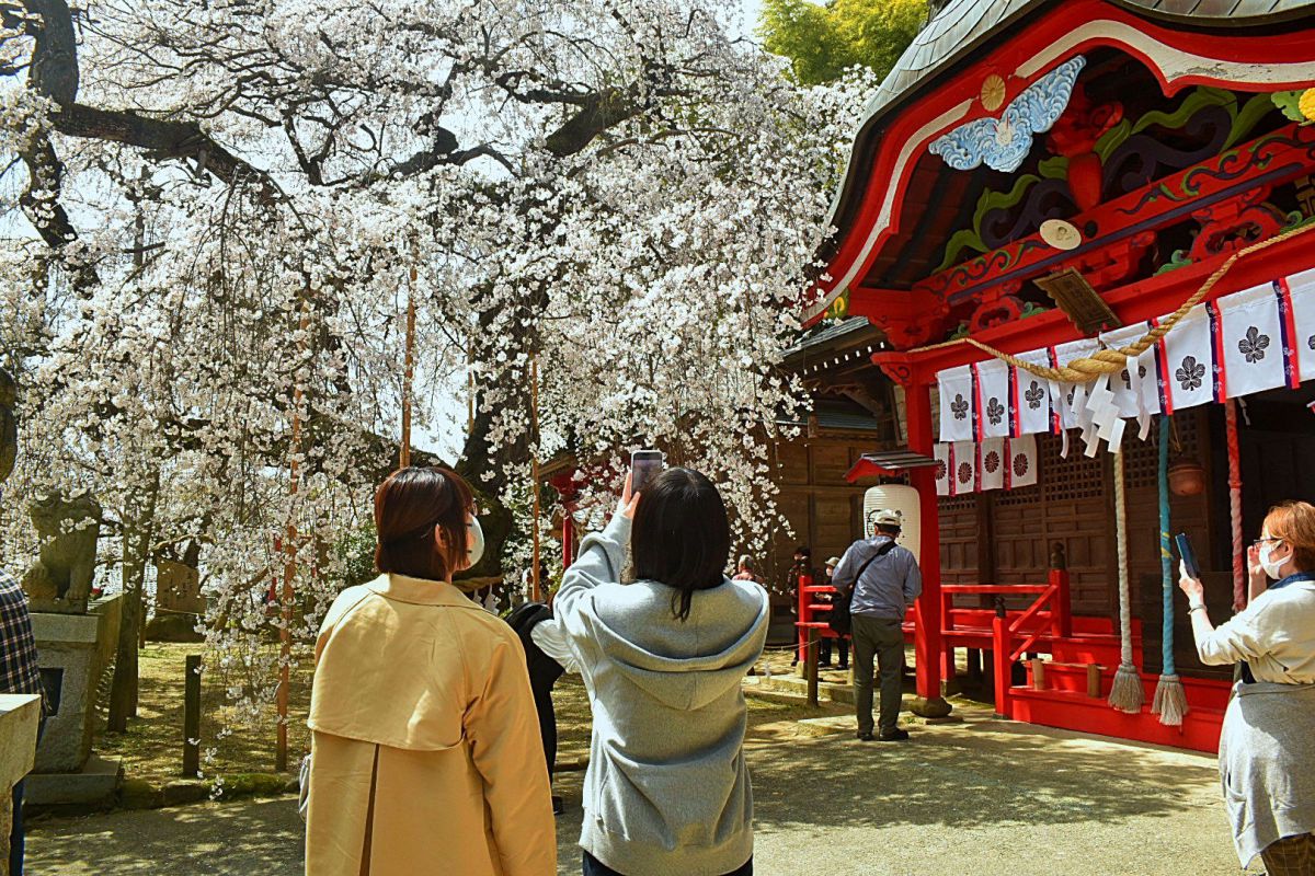 スマホで・・・ | GANREF