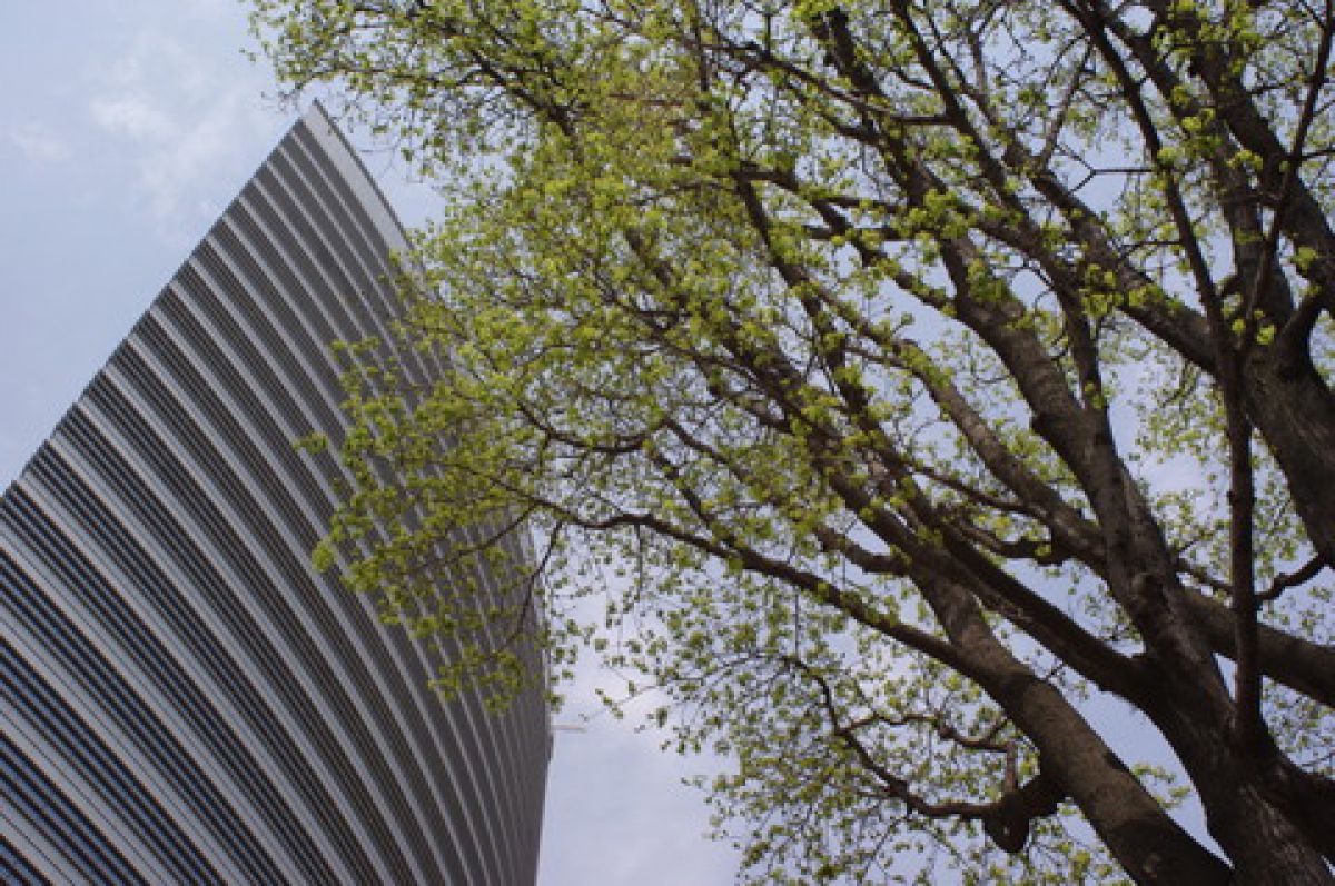 Phenix MC 24mm 試写 | GANREF