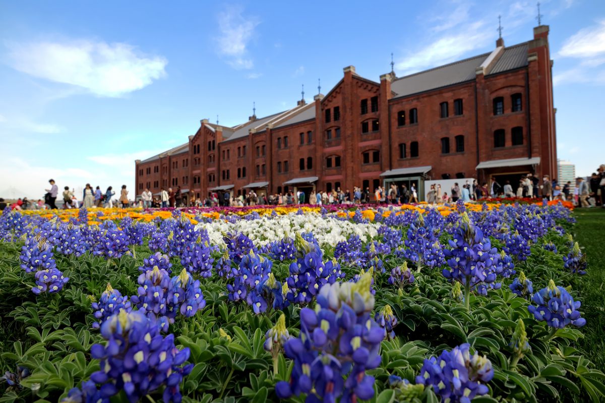 「EOS M3ファン」の実機体験記 【広角を存分に楽しむ編】 | GANREF