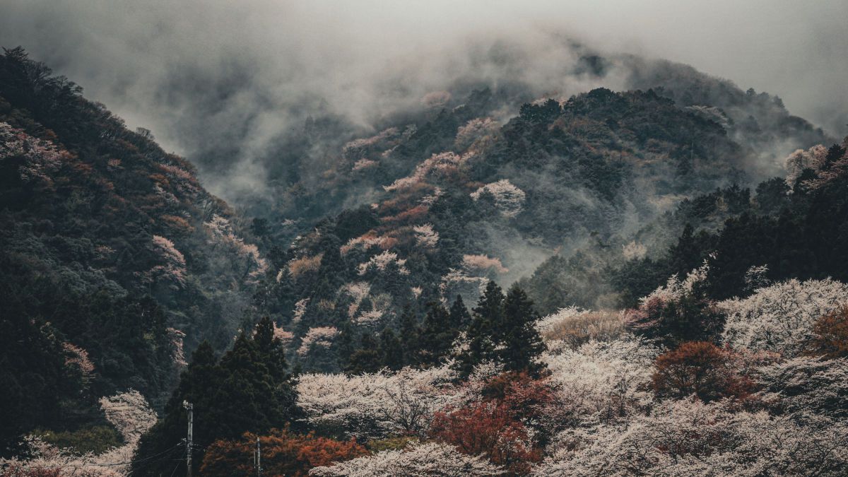 IMG_6163.jpeg | GANREF