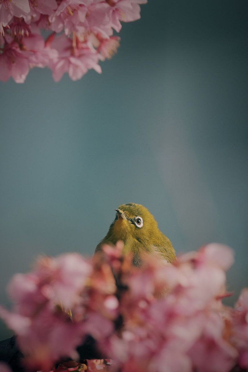 DSC03885.jpeg | GANREF