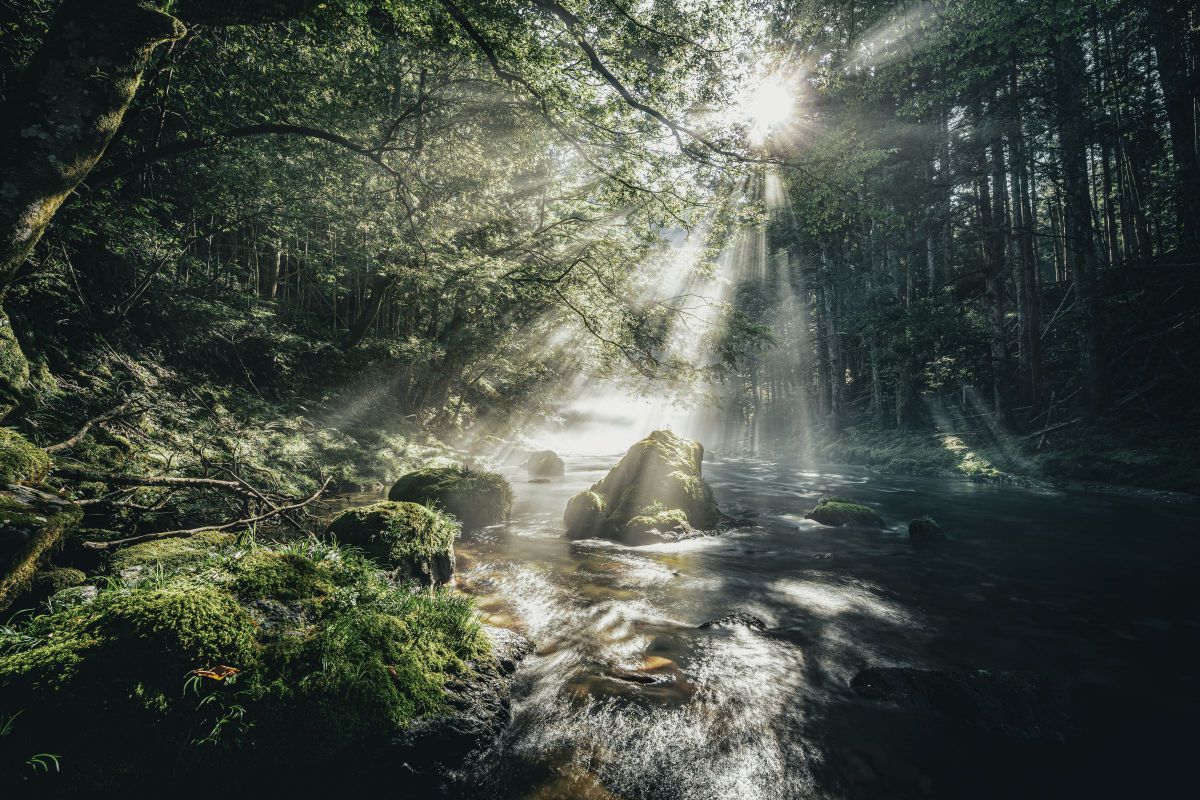 IMG_8400.jpeg | GANREF