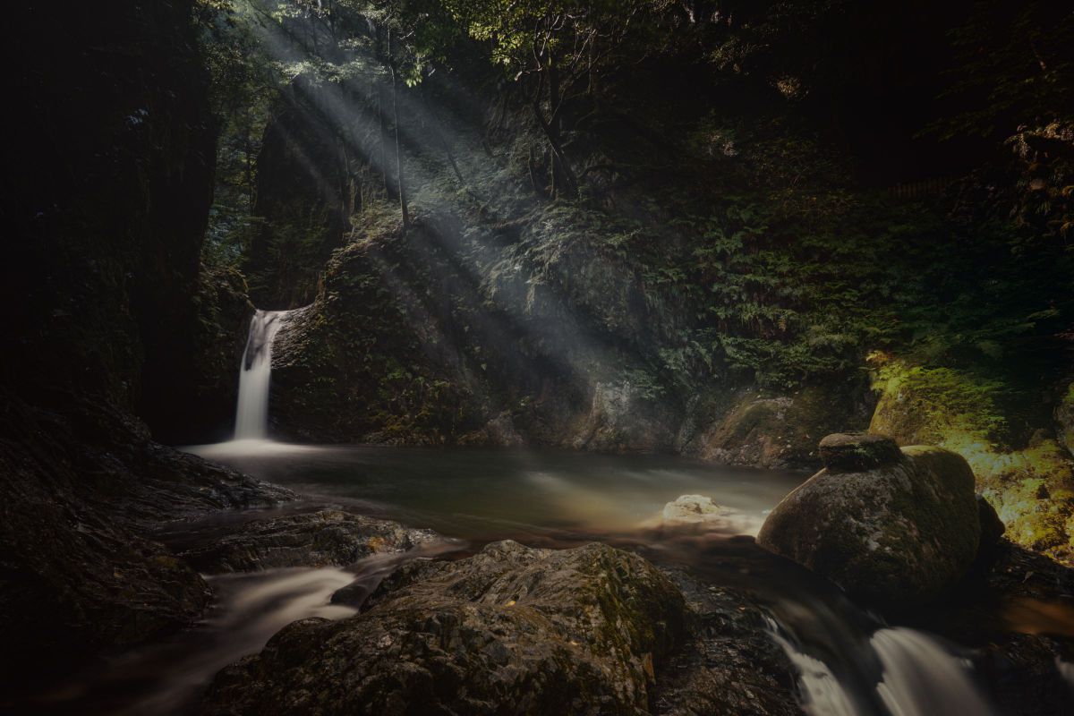 IMG_2079.jpeg | GANREF