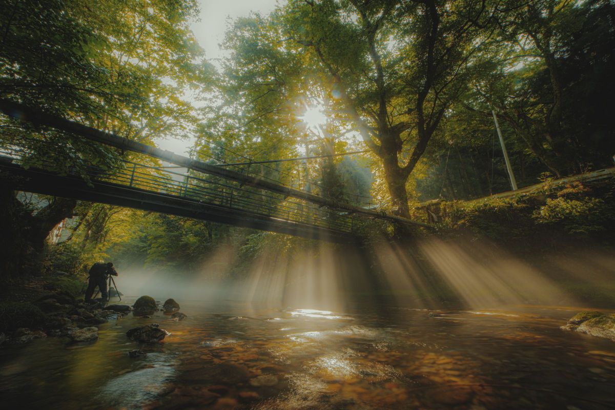 IMG_1326.jpeg | GANREF