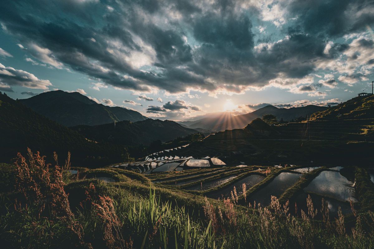 IMG_7033.jpeg | GANREF