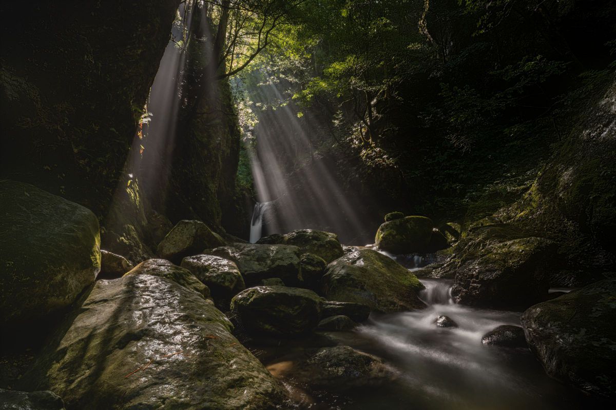 IMG_2083.jpeg | GANREF