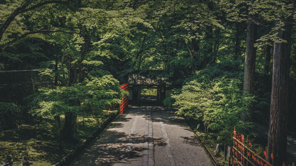 IMG_6856.jpeg | GANREF