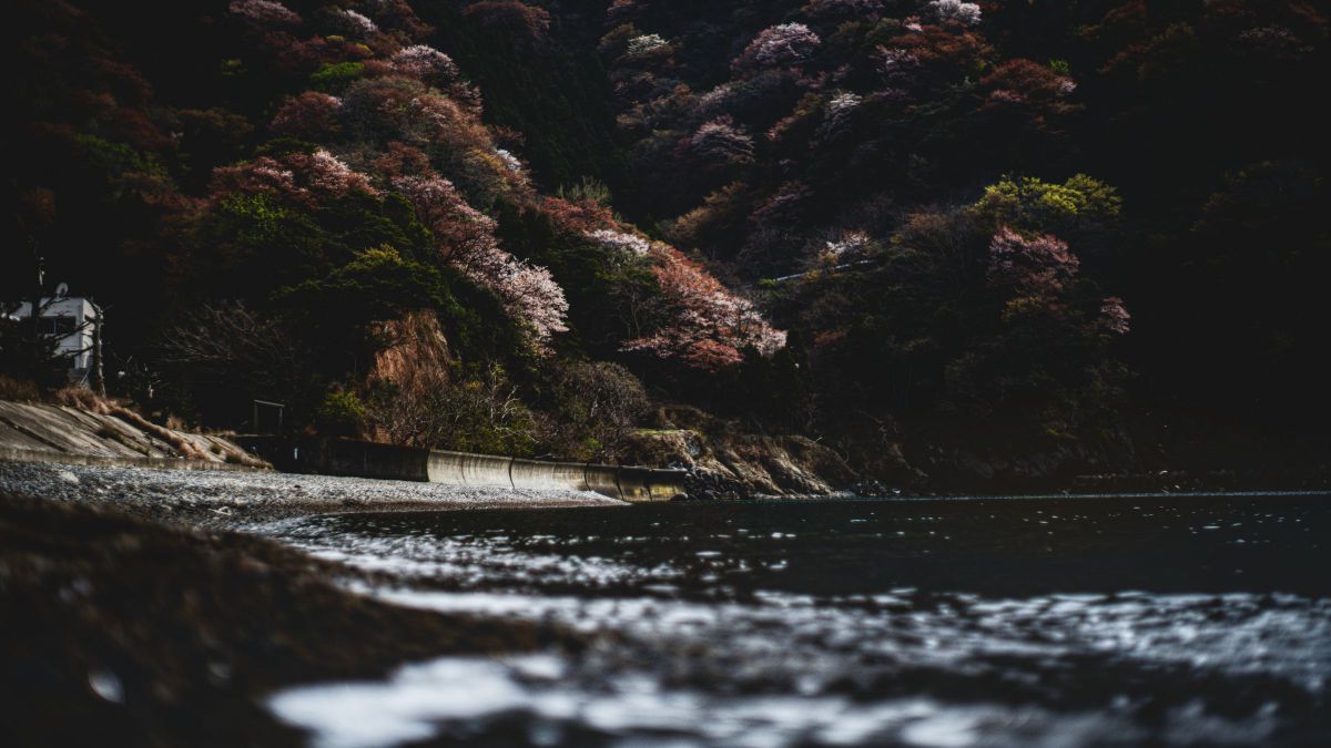 IMG_2359.jpeg | GANREF