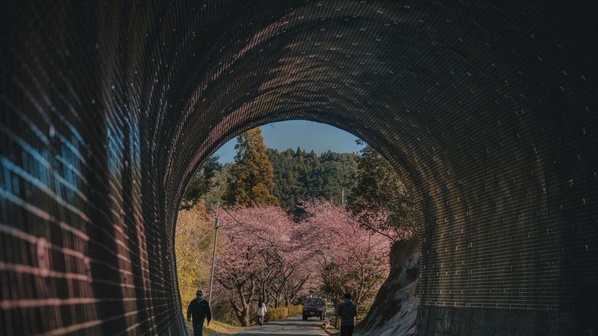 IMG_5631.jpeg | GANREF