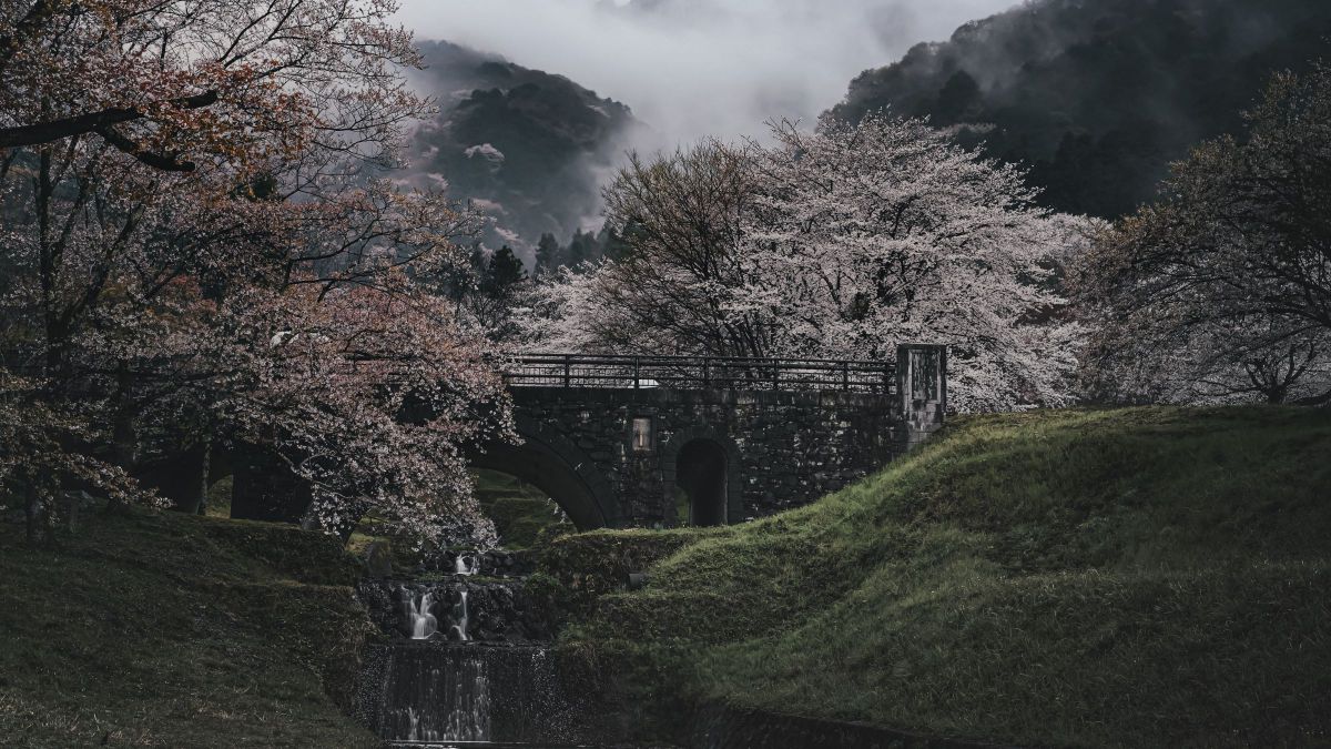 IMG_6146.jpeg | GANREF