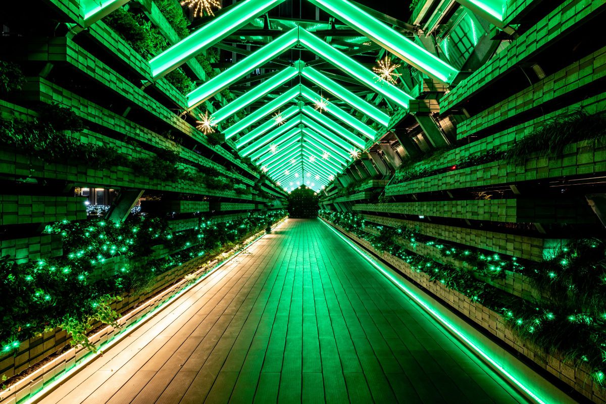 Emerald Night | GANREF