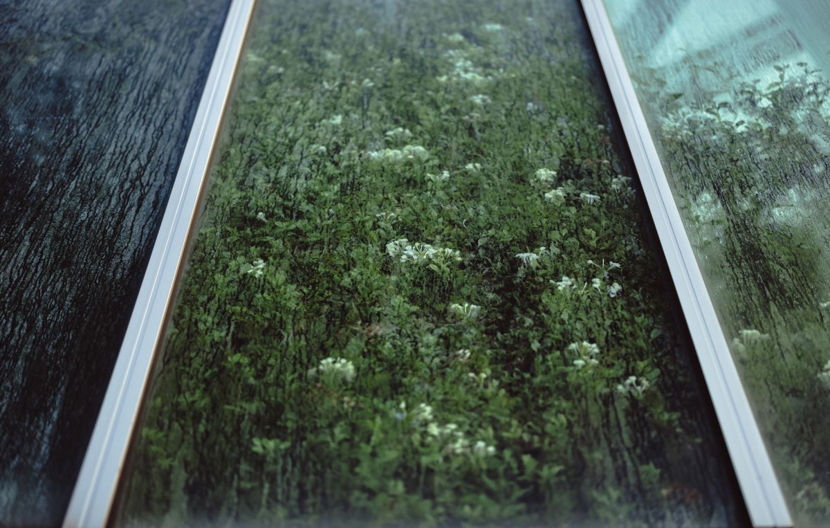 From Outside | GANREF