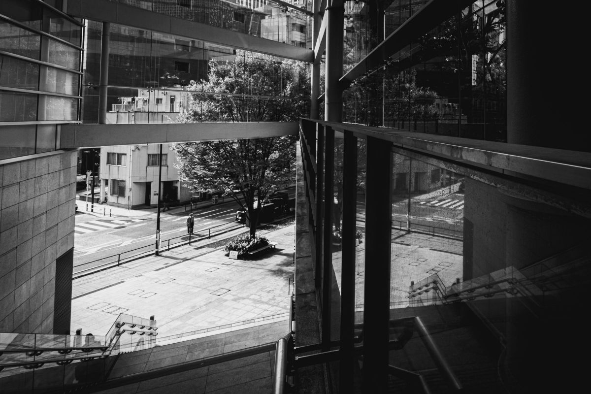 Looking Down | GANREF