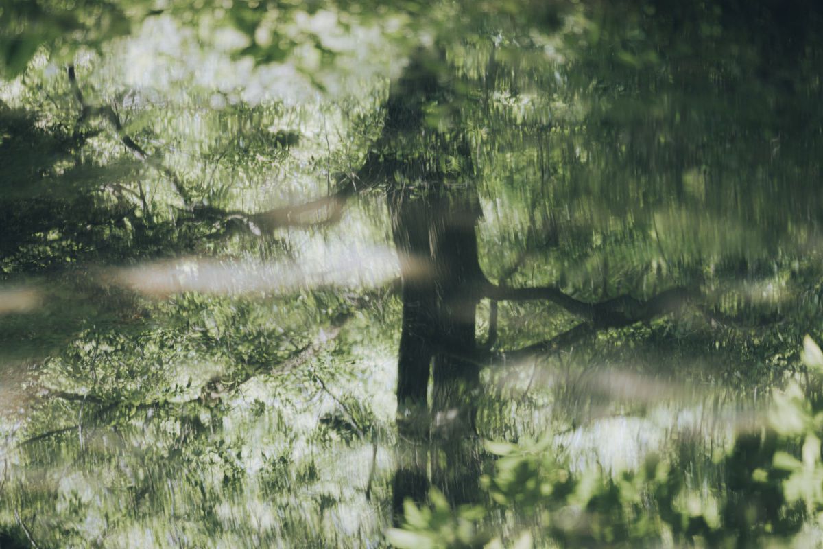 Reflection 26 | GANREF