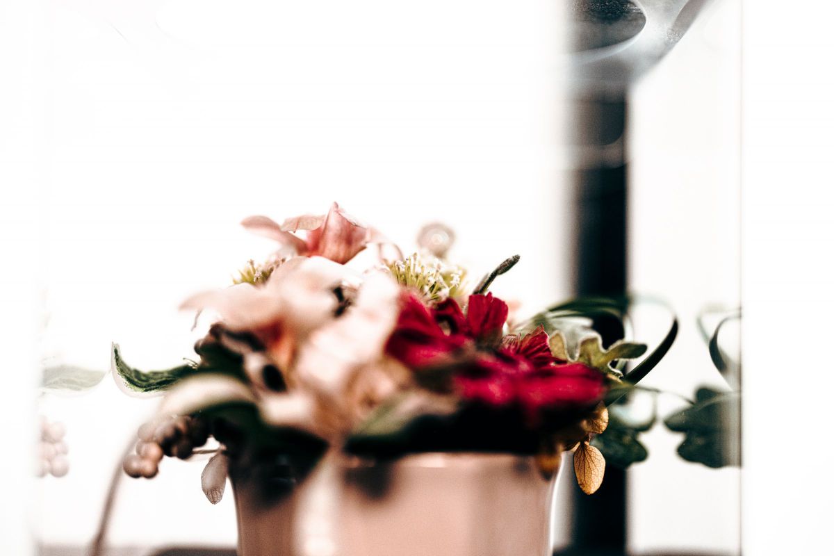 Flowers 104 | GANREF