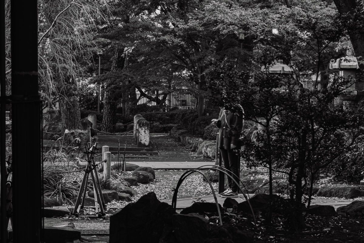 Stand Still | GANREF