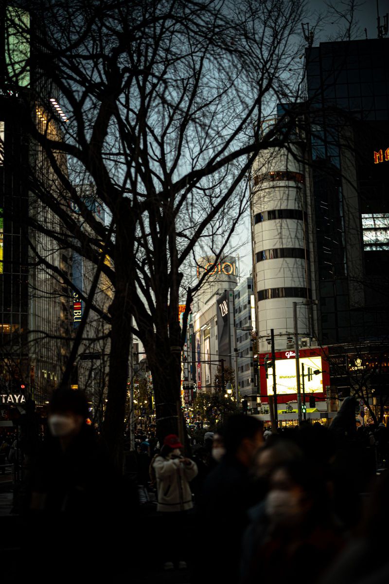 Shibuya 2022 | GANREF