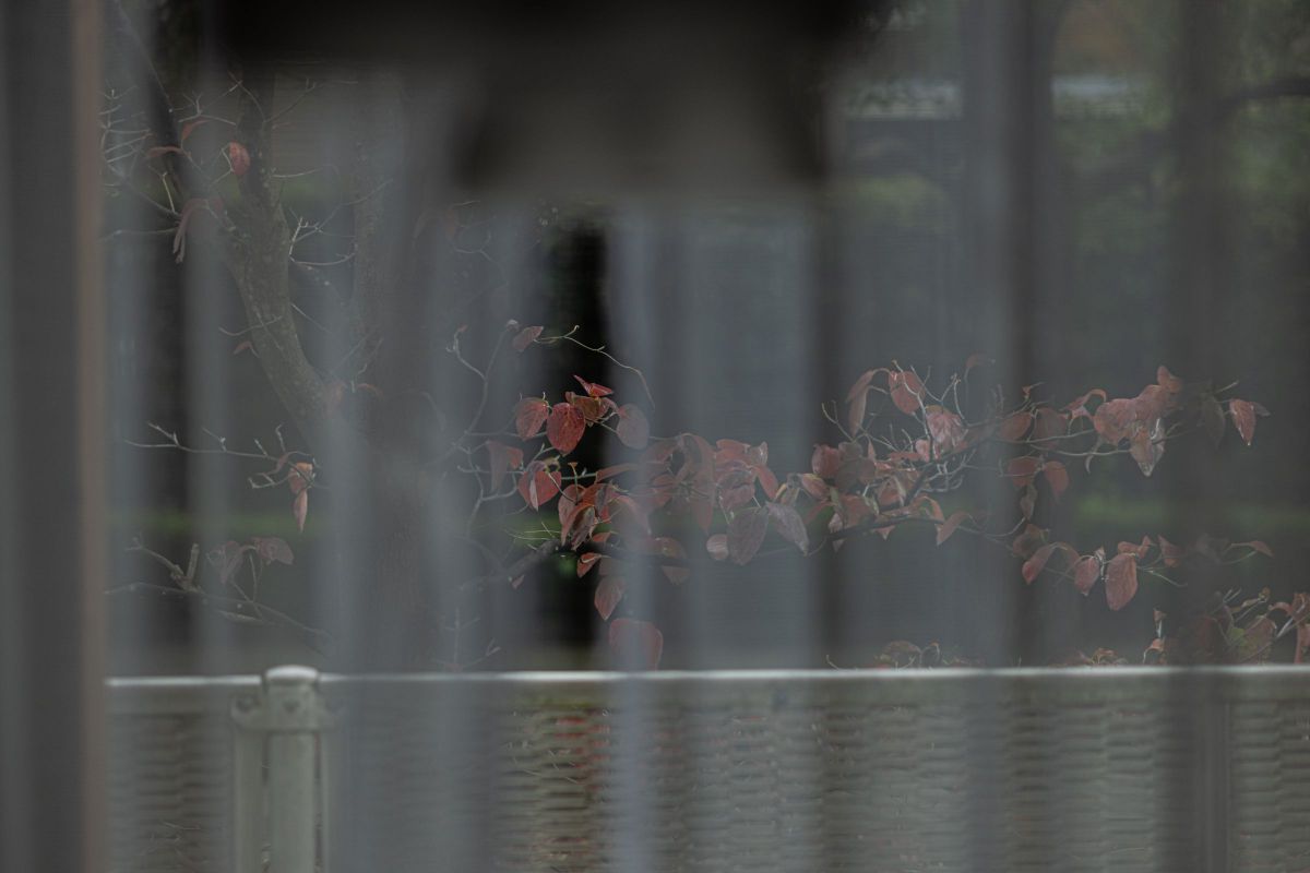 Window View | GANREF