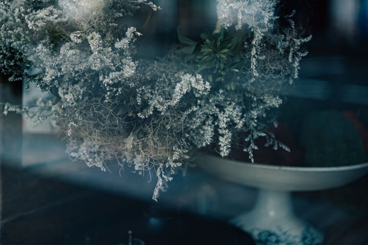 Flowers 136 | GANREF