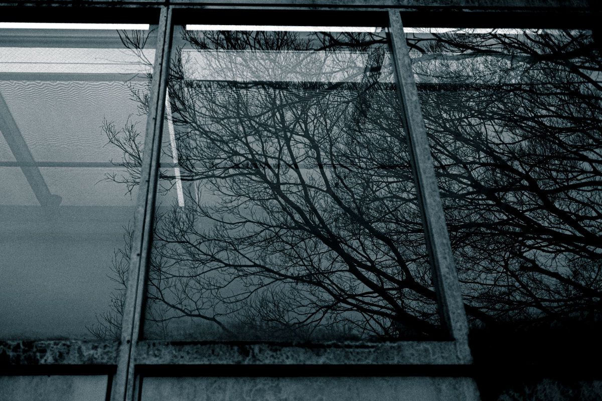 Reflection 2 | GANREF