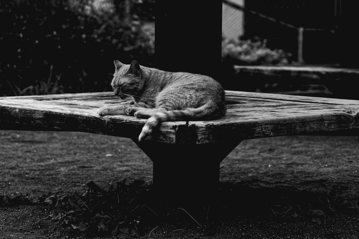 Leave me alone | GANREF