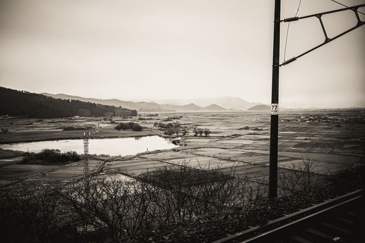 Scattered Memories | GANREF