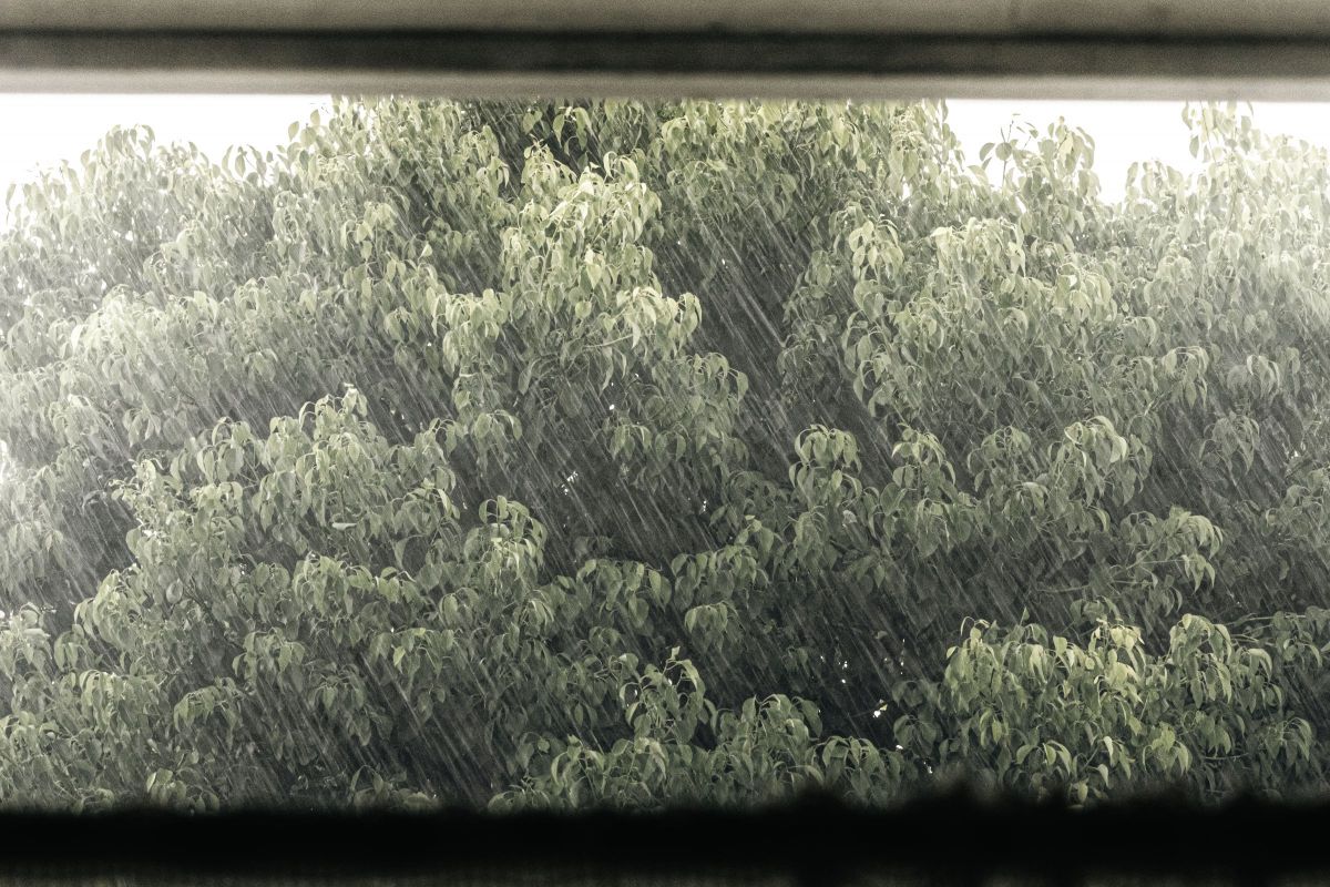 Sideways Rain | GANREF