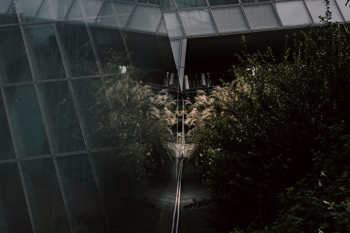 Sunny Place | GANREF