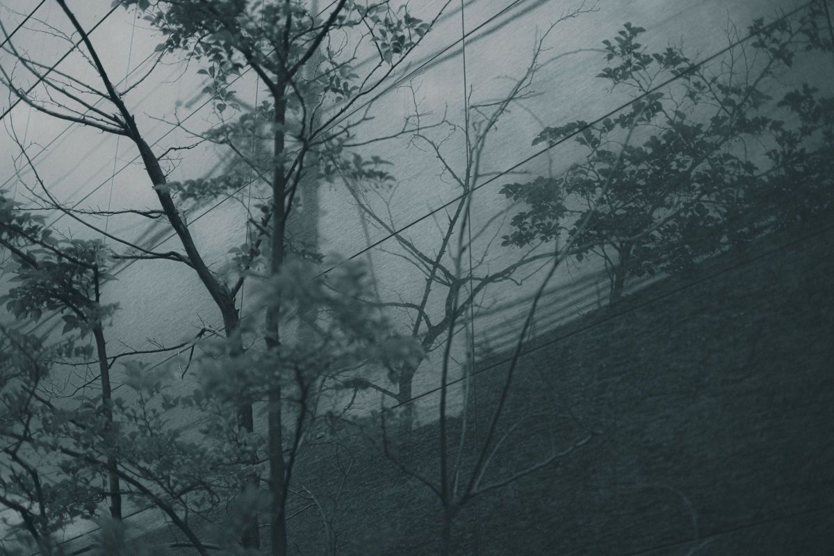 Reflection 28 | GANREF