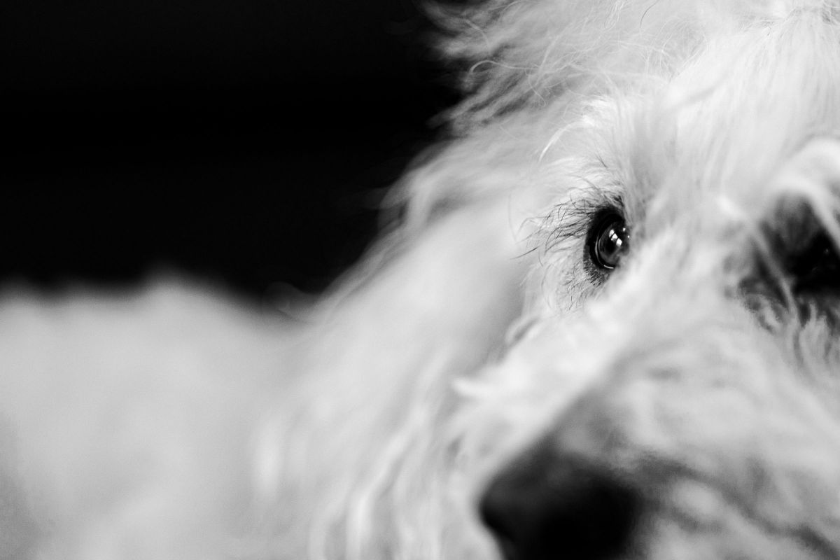 No.3 Existence | GANREF