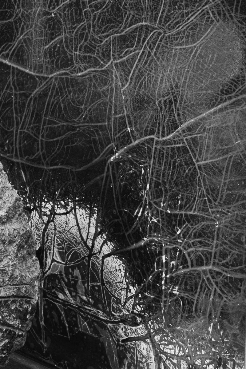 Reflected in the mirror | GANREF