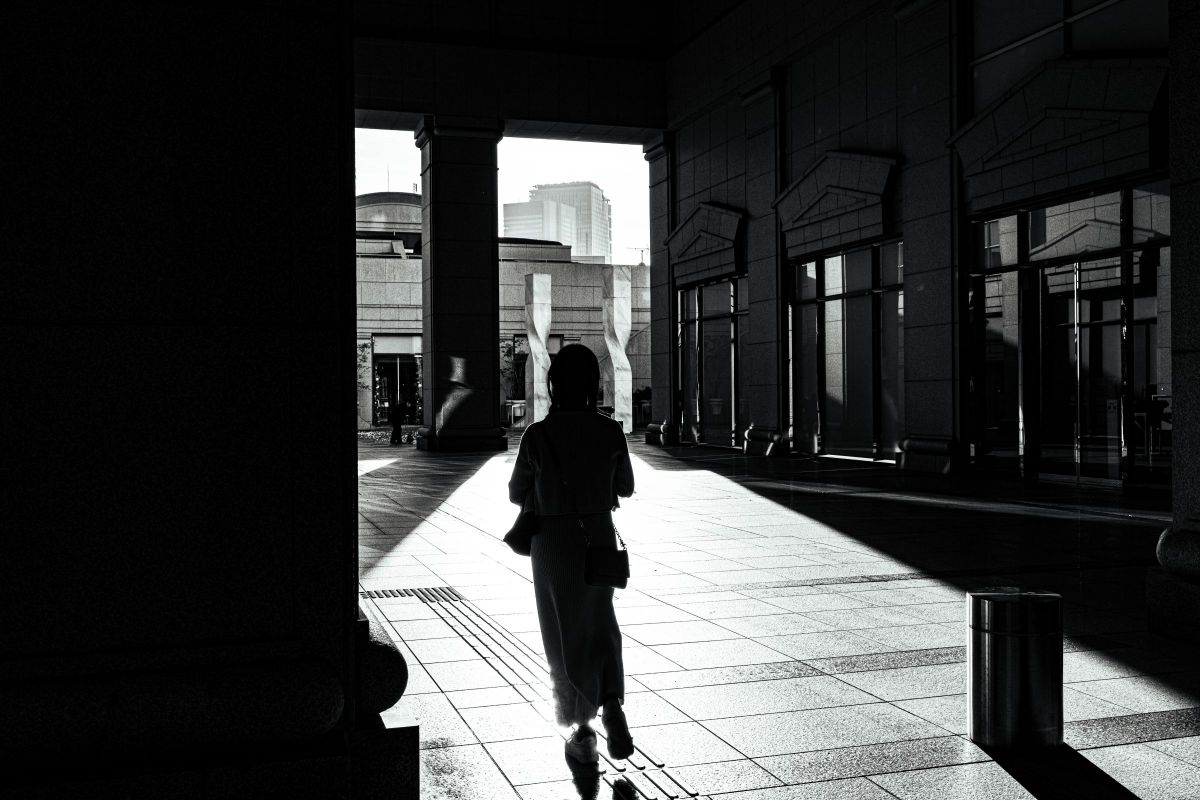 Light and Shadow | GANREF