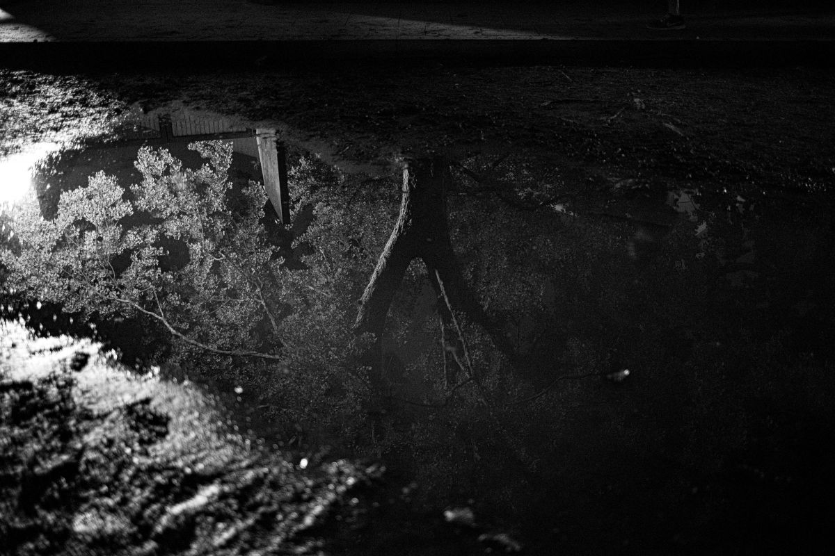 Reflection at Night | GANREF