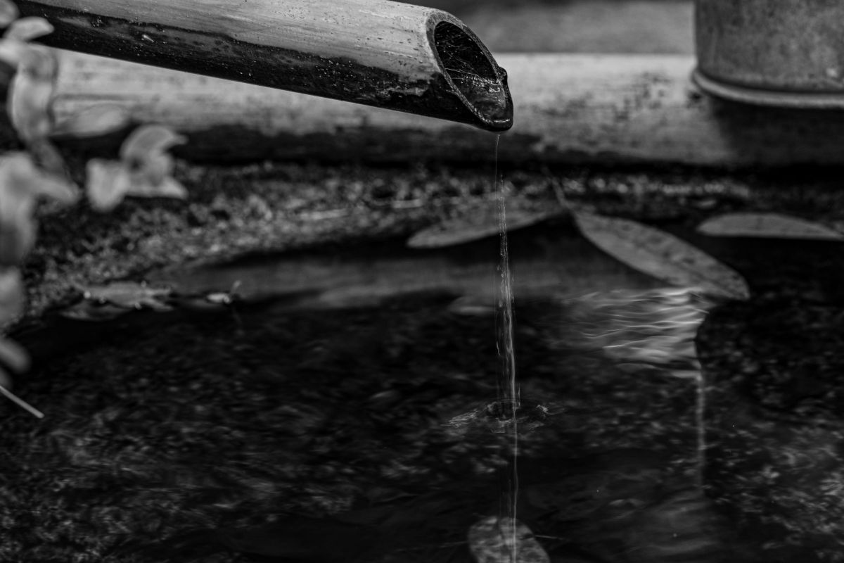 Only Stillness | GANREF