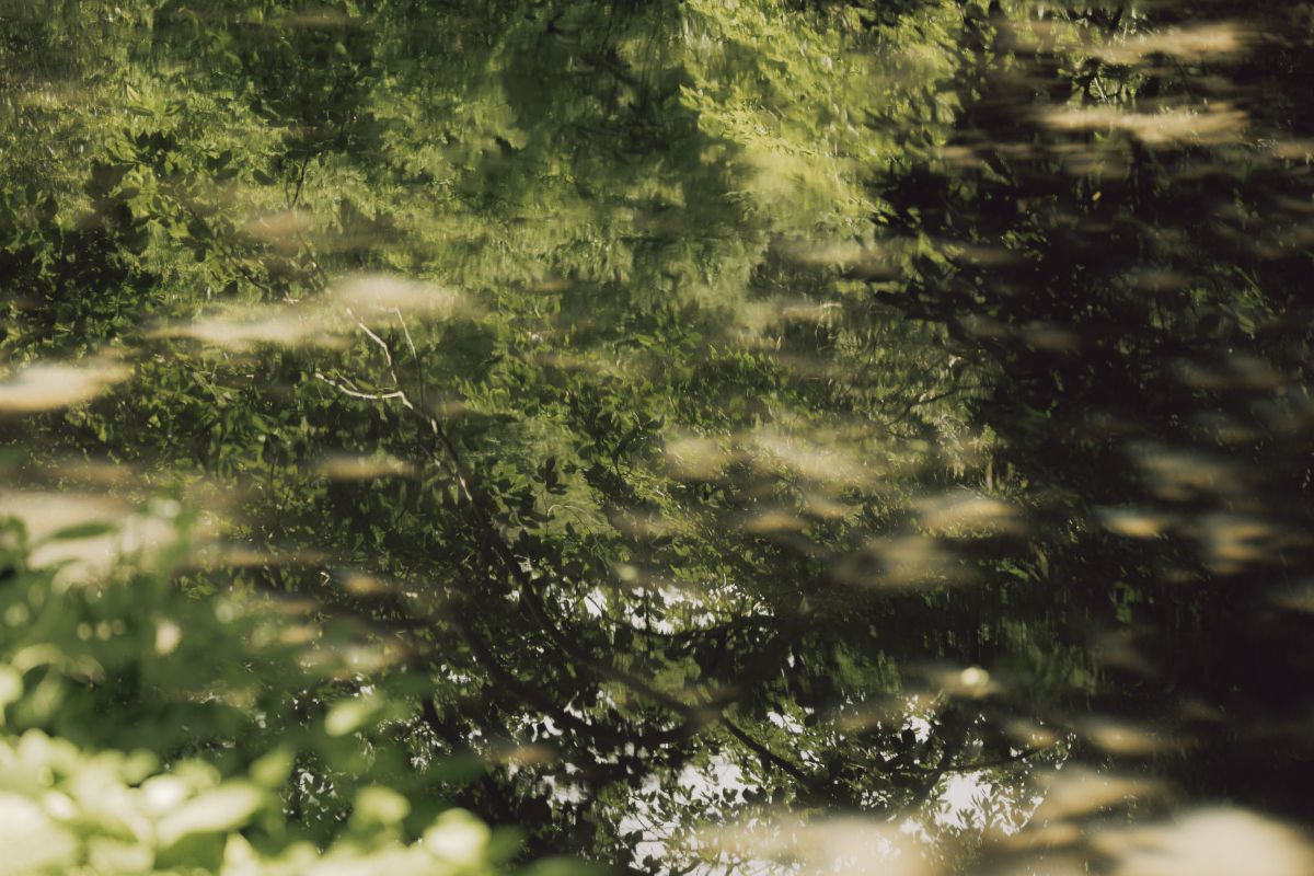 Reflection 27 | GANREF