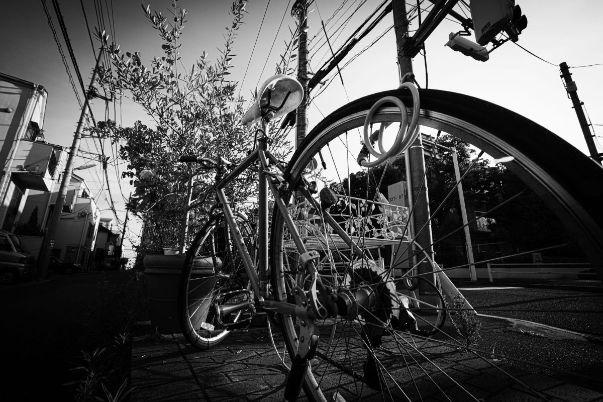 Good Morning | GANREF