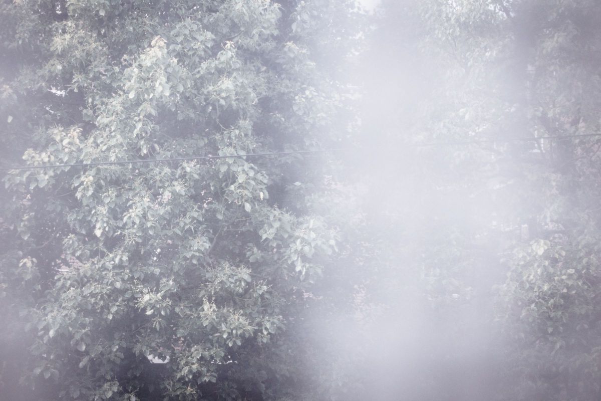 Through the Curtain | GANREF