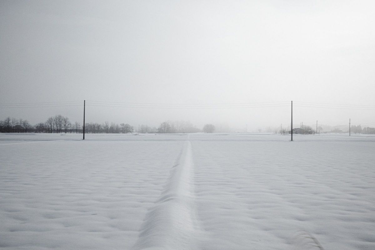 White Straight | GANREF