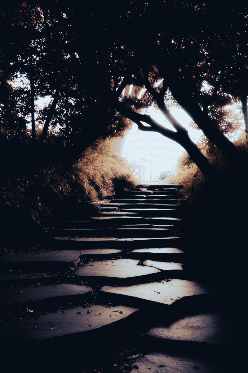 Stone Steps | GANREF