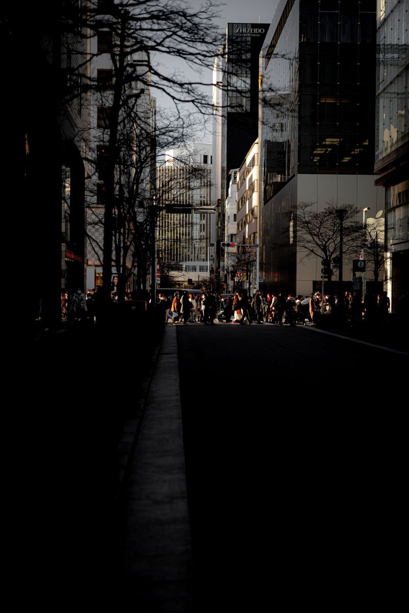 A Place in the Sun | GANREF